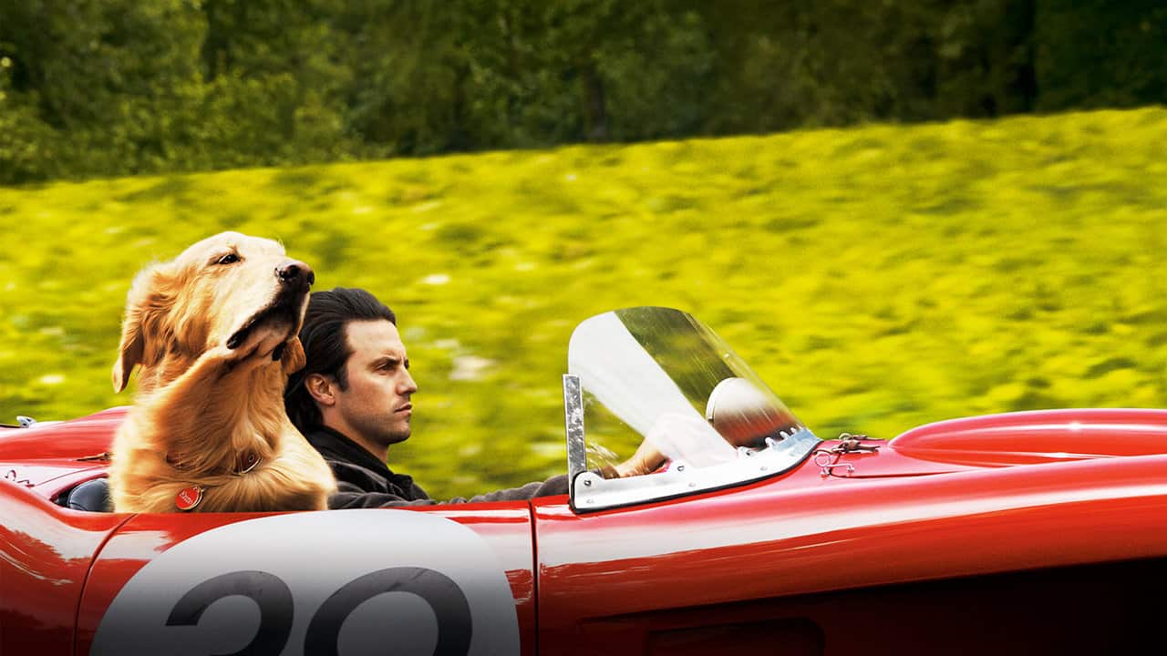 “Enzo Und Die Wundersame Welt Der Menschen” | Film Kritik